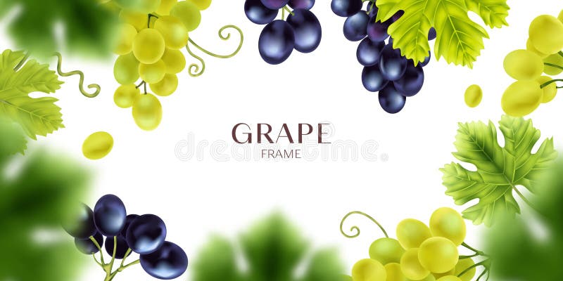 Realistic Grape Frame Composition Stock Vector - Illustration of drink ...
