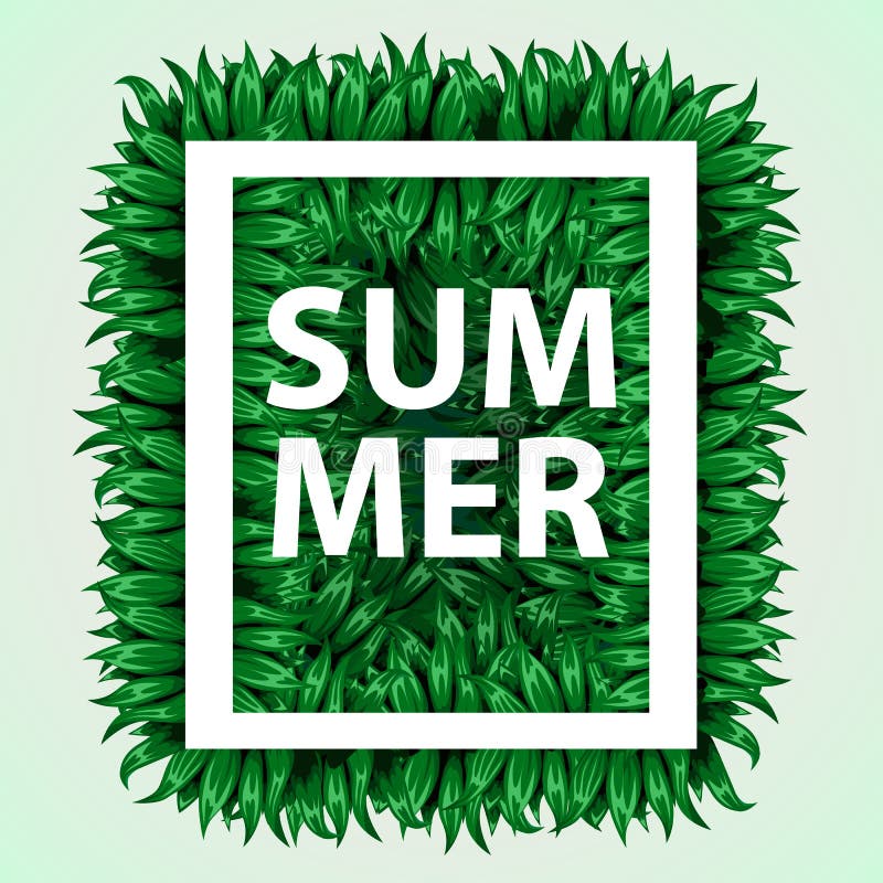 Realistic Grass Frame. Eco Concept. Fresh Grass in Form of Square Stock ...