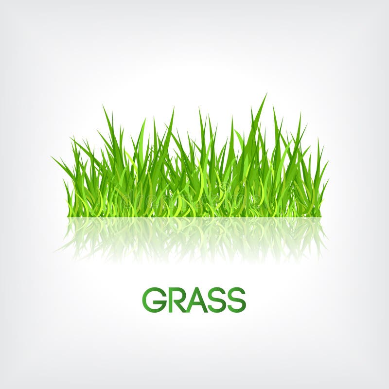 Realistic grass stock vector. Illustration of ground - 40509319