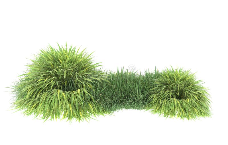 Realistic Grass Isolated on Background. 3d Rendering - Illustration ...