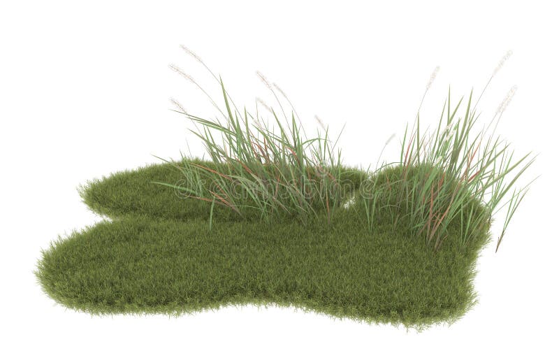 Realistic Grass Isolated on Background. 3d Rendering - Illustration ...