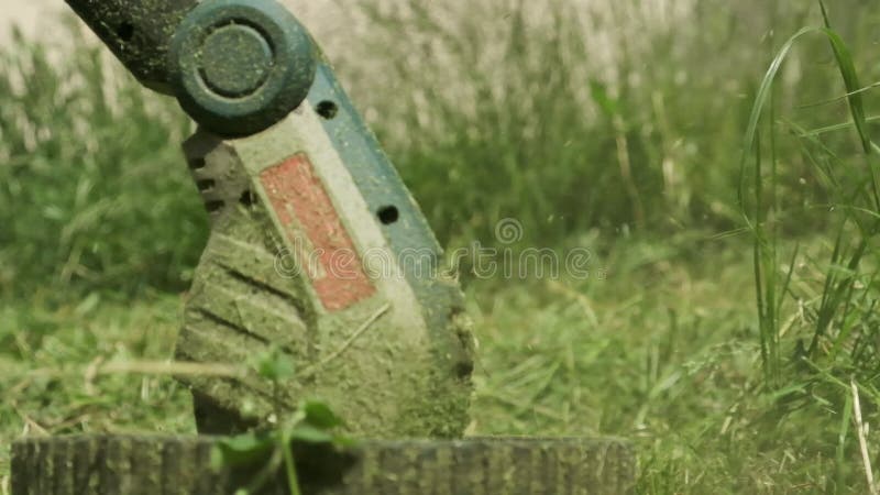 Realistic Grass Trimming Macro with String Trimmer, Slow Motion ...