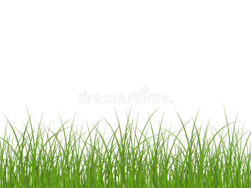 Realistic grass vector stock vector. Illustration of spring - 221951585