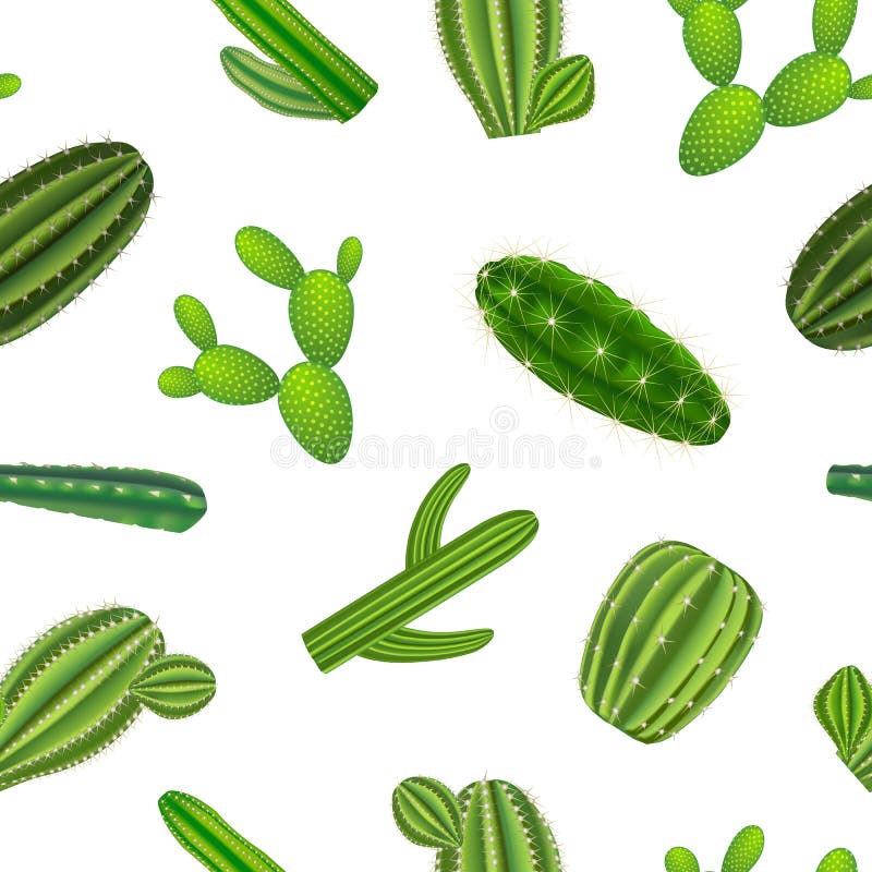 Realistic Cactus Texture Seamless Stock Illustrations – 221 Realistic ...