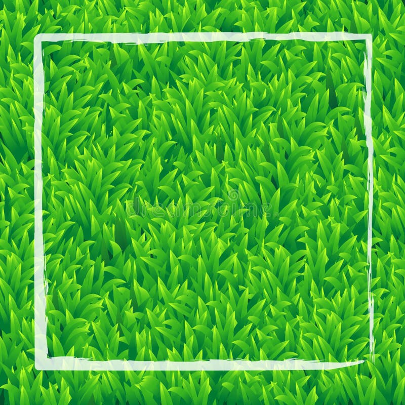 Green Grass Rectangle Background Stock Illustrations – 827 Green Grass ...
