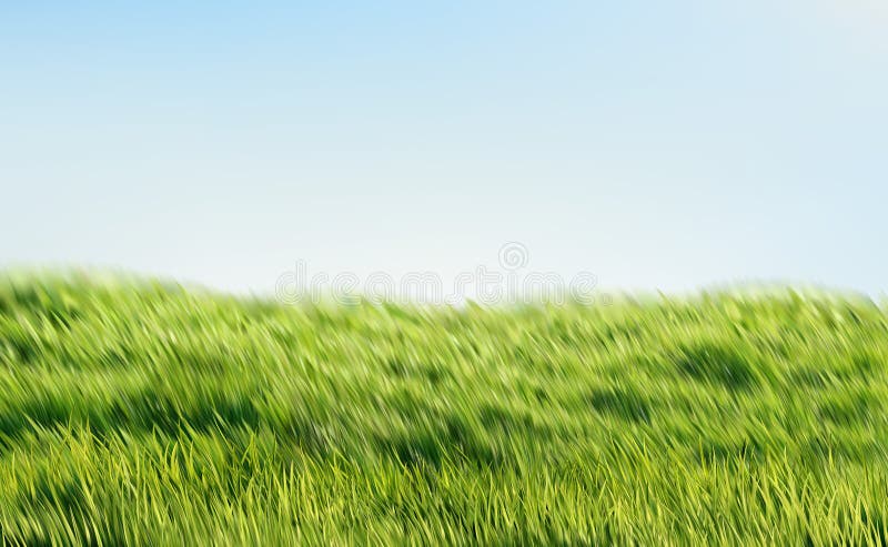 Realistic Green Grass Blue Sky Spring Nature Landscape. Nature ...