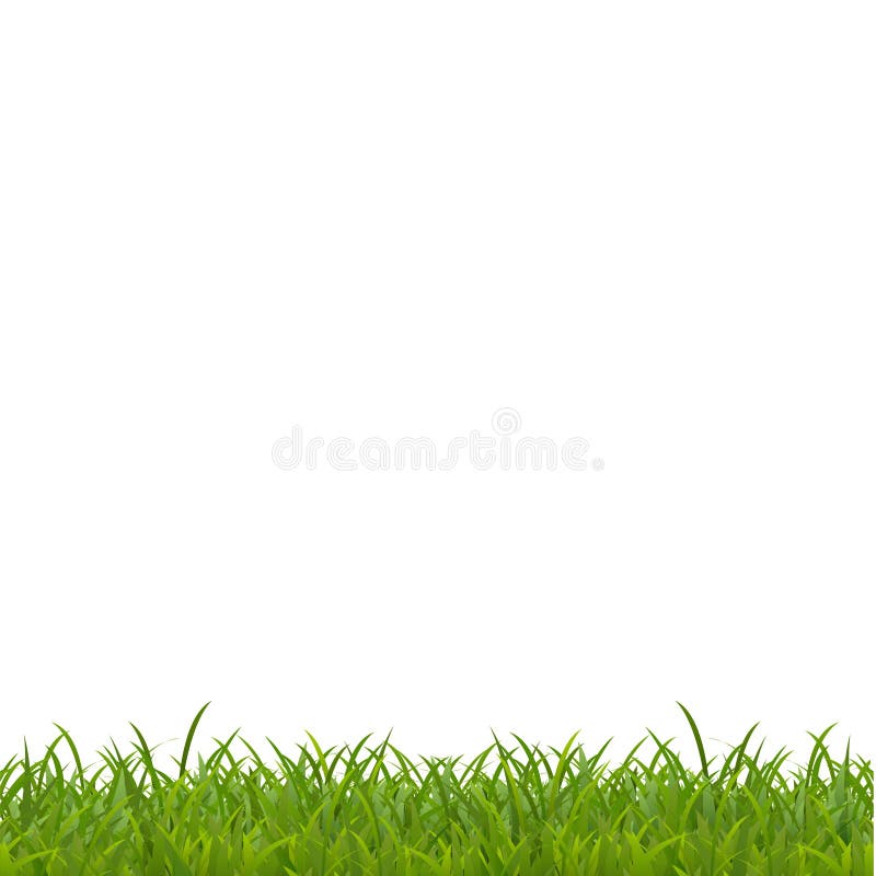 Realistic Green Grass. Spring Grass, Field, Nature on a Transparent ...