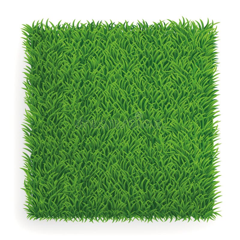 Realistic Green Grass Texture Design Stock Vector - Illustration of ...
