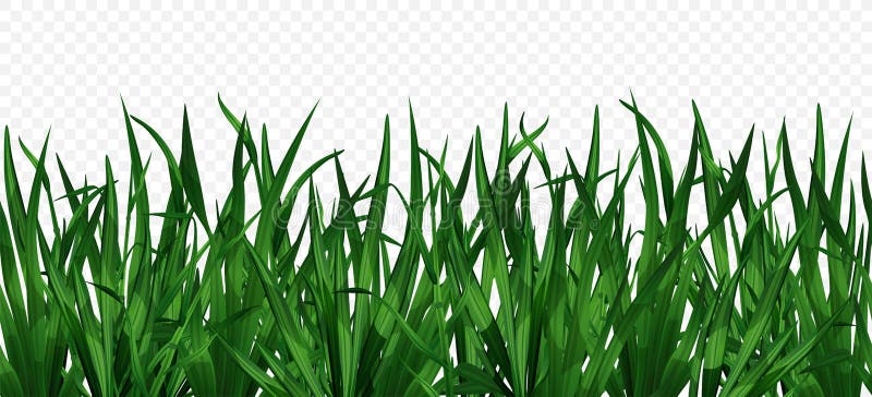 Realistic Green Grass on Transparent Background Horizontal Vector ...