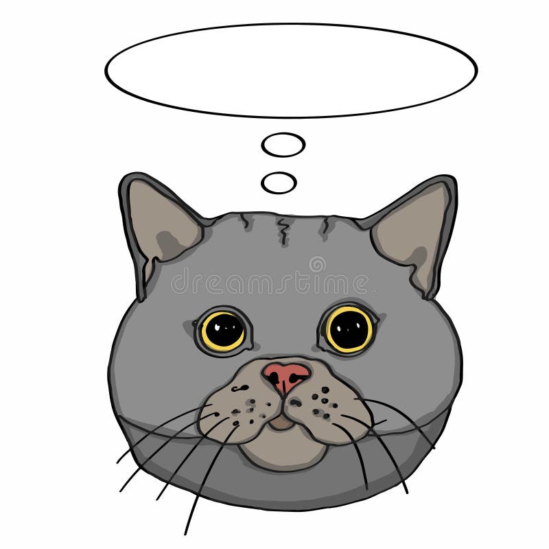 Realistic Grey Cat Head and Thinking Balloon and Sunglasses Stock ...