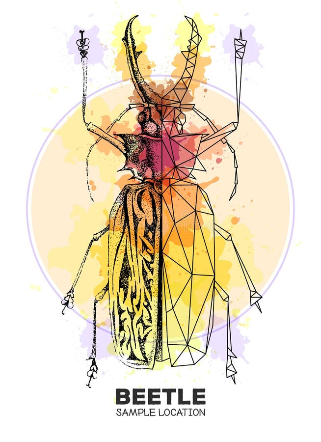 Sabertooth Black White Stock Illustrations – 56 Sabertooth Black White ...