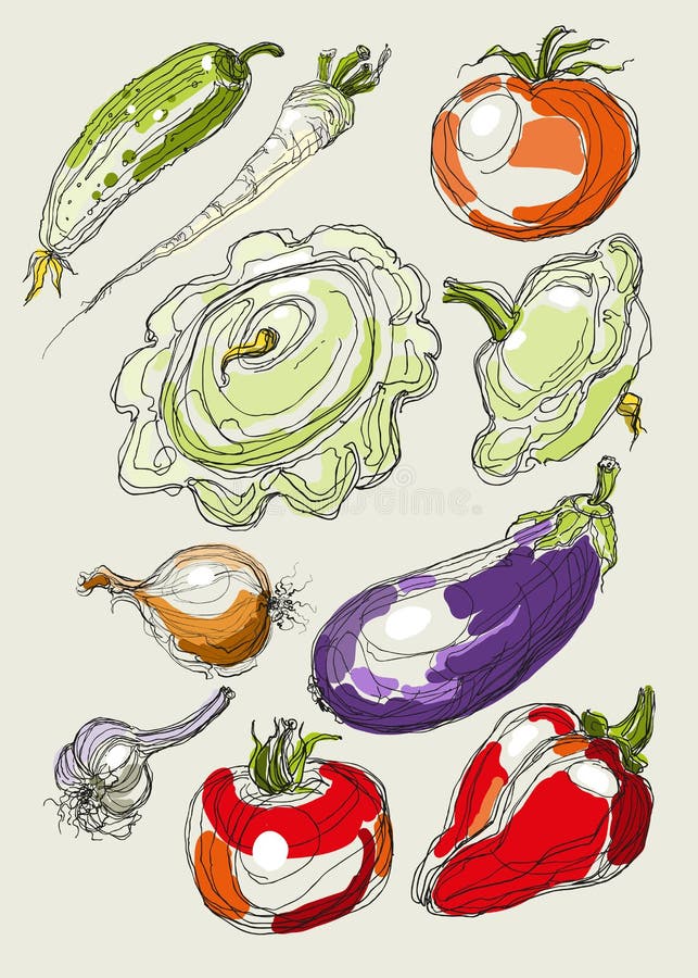 Realistic Hand Drawing Set of Vegetables Stock Illustration ...
