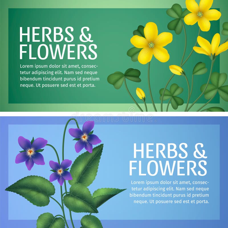 Macrovector - Photographer profile