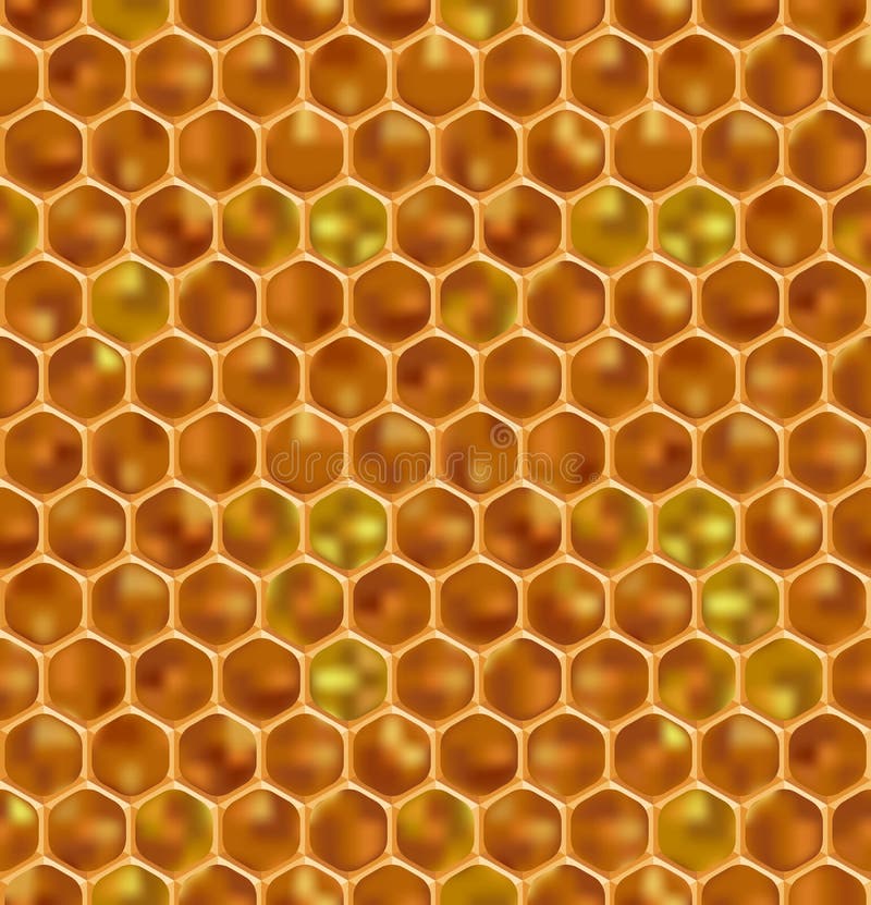 Realistic Honeycomb Illustration. Vector Honey Seamless Pattern Stock ...