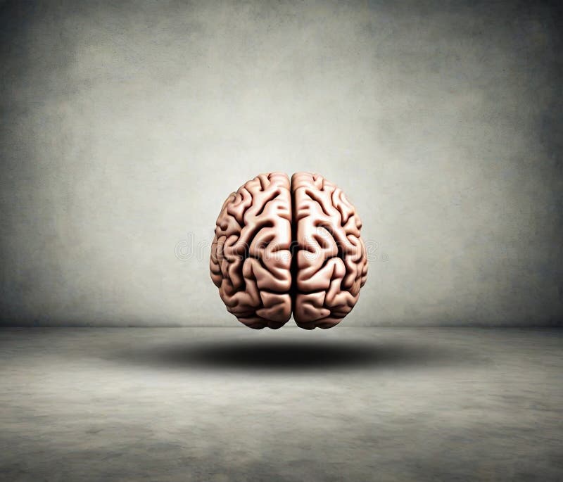 Realistic Human Brain Floating on Grey Background Representing ...