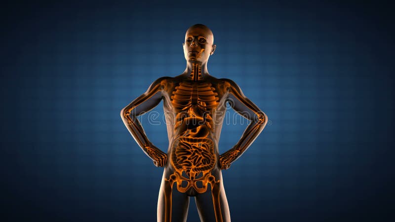 Radiography Images Stock Footage & Videos - 4,154 Stock Videos