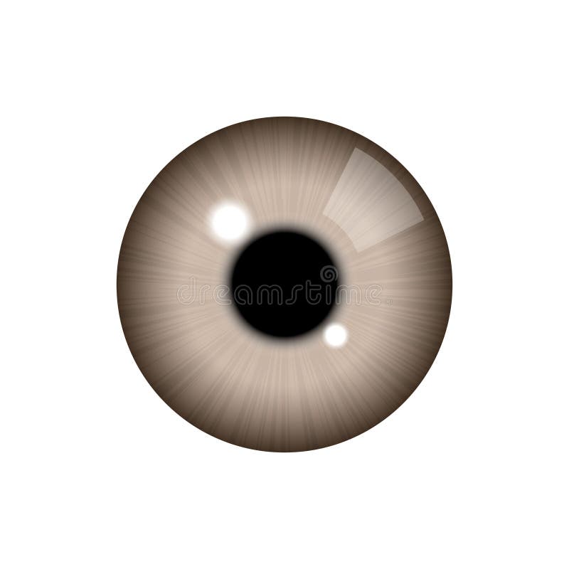 Realistic human eye stock illustration. Illustration of isolated ...