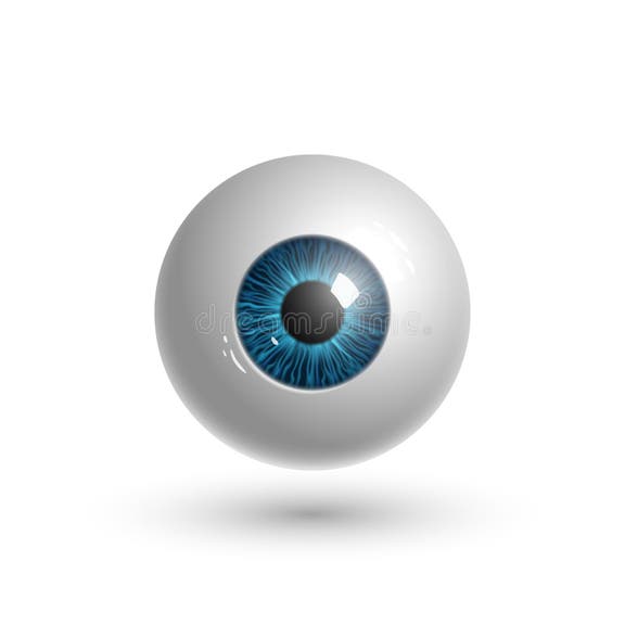 Realistic human eyeball stock vector. Illustration of design - 70825226