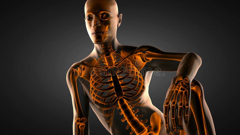 Radiography Images Stock Footage & Videos - 4,154 Stock Videos