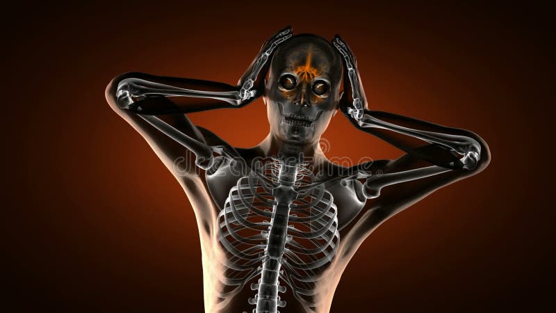 3D Human Standing and Walking Isolated on Green Screen Background Stock ...