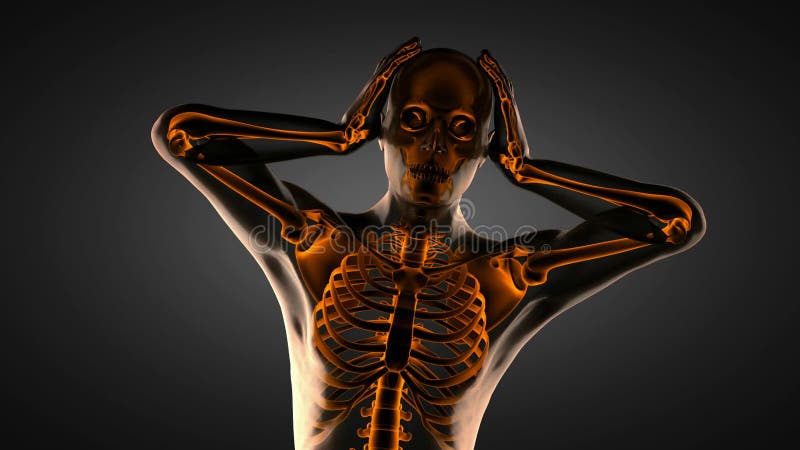 3D Human Standing and Walking Isolated on Green Screen Background Stock ...