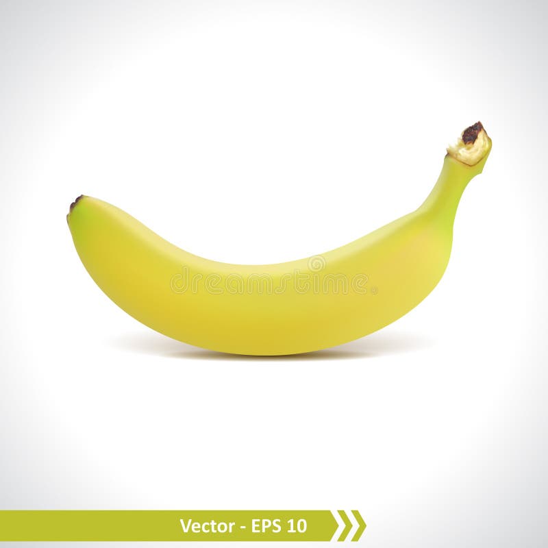Realistic Illustration of a Banana Stock Vector - Illustration of ...