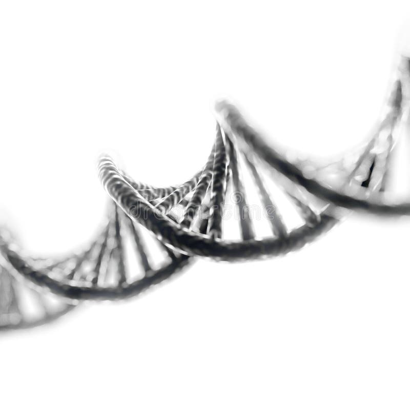 Realistic Illustration of DNA Cell Stock Illustration - Illustration of ...