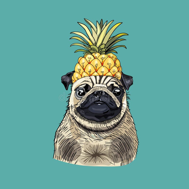 447 Funny Cartoon Pug Stock Photos - Free & Royalty-Free Stock Photos ...