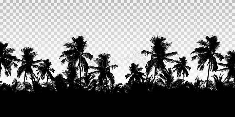 Realistic Illustration of a Horizon from the Tops of Palm Trees. Black ... Realistic Illustration of a Horizon from the Tops of Palm Trees. Black ...