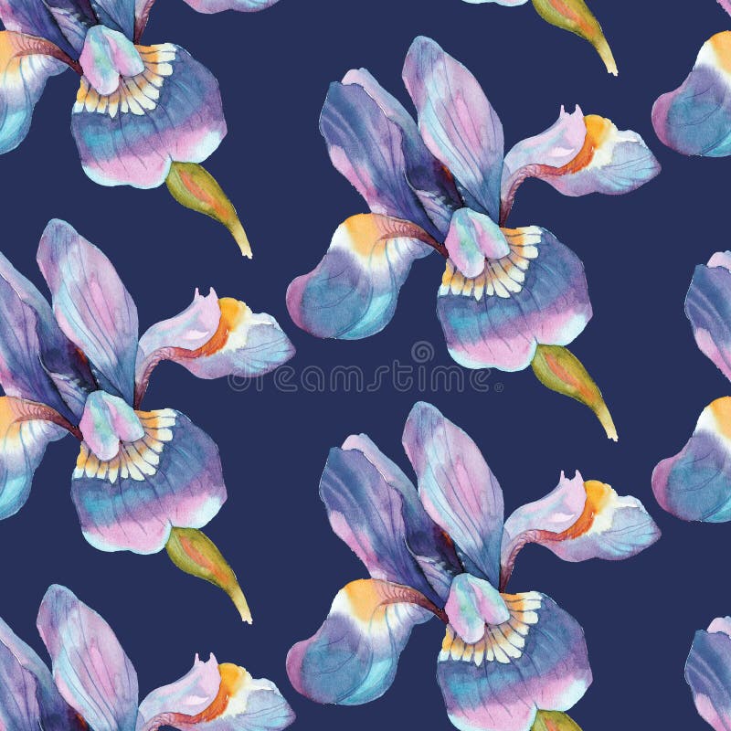 Realistic Illustration of an Iris Flower. Seamless Pattern on a Blue ...