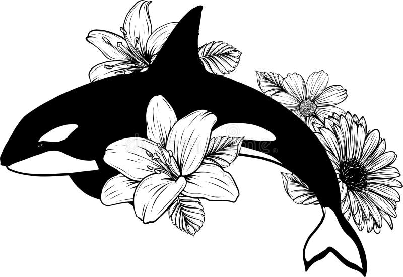 Realistic Illustration of Orca Whale Vector Icon for Web Design ...