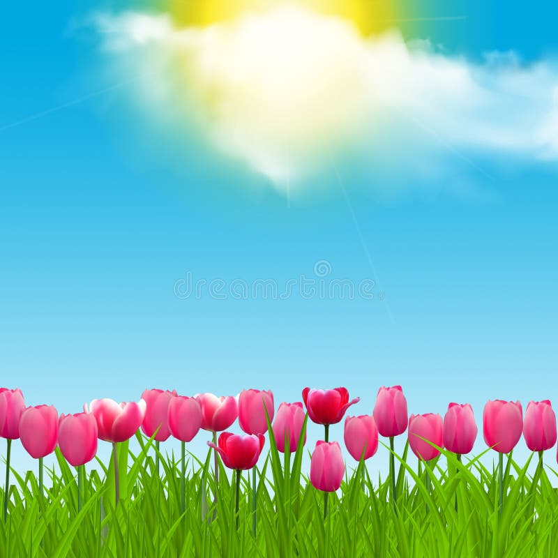 Realistic Illustration of a Sunny Day with a Sunny and Cloudy Sky Stock ...