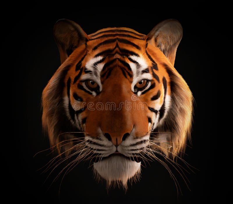 Realistic Illustration of Tiger Face Isolated on Black Background Stock ...