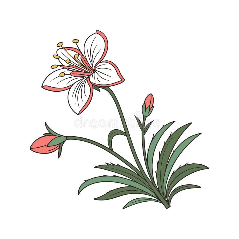 Realistic Venus Flytrap Flower with Unique Design Stock Image ...