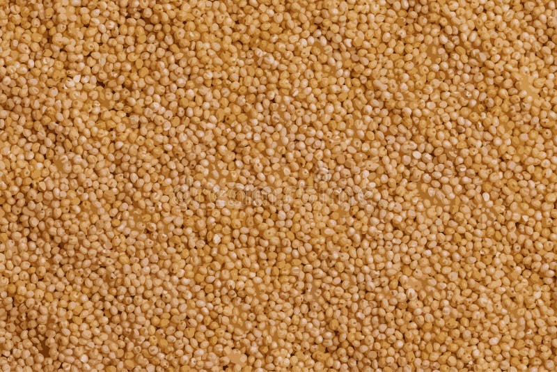 Realistic Illustration of Yellow Millet Background. the View from Top ...