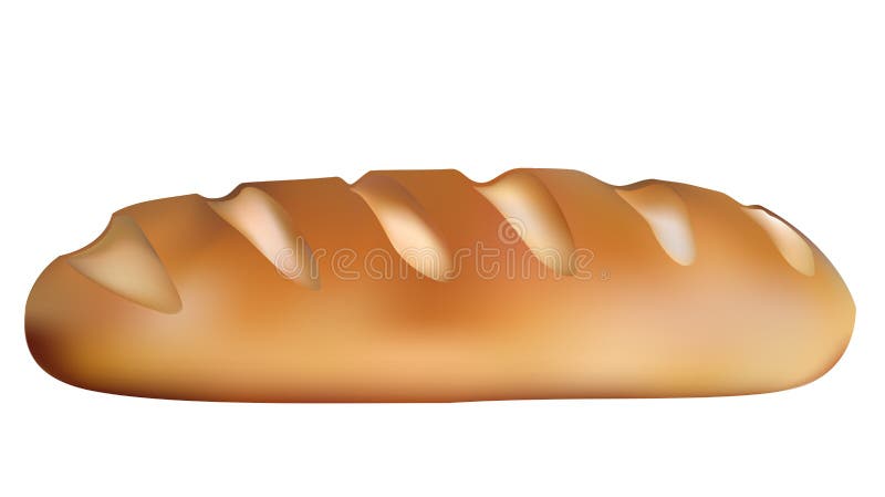 Realistic Image of Long Loaf Fresh Bread Delicious Vector Illustration ...