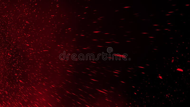 Realistic Isolated Red Effect for Decoration and Covering on Black ...