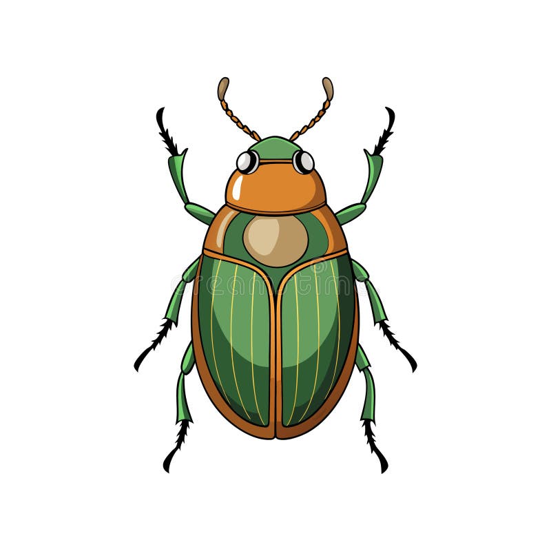 Realistic Japanese Beetle Colorful Illustration Stock Illustration ...