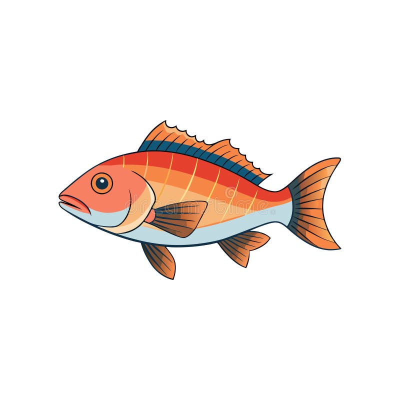 Realistic Japanese Snapper Fish Colorful Artwork Stock Illustration ...