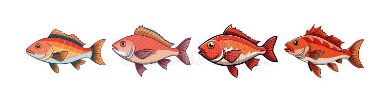 Realistic Japanese Snapper Fish Colorful Artwork Stock Vector ...