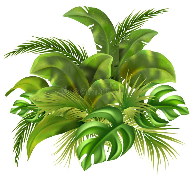 Realistic Jungle Leaves Composition Stock Image - Image of environment ...