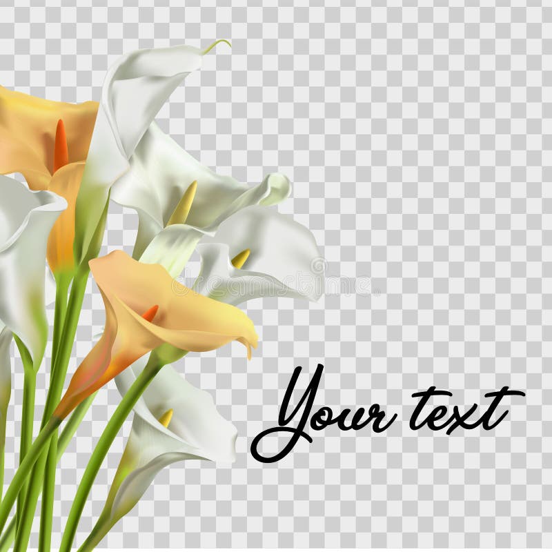 Flower Kala Stock Illustrations – 51 Flower Kala Stock Illustrations ...