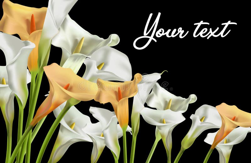 Kala Flower Stock Illustrations – 62 Kala Flower Stock Illustrations ...