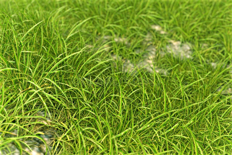 Realistic Lawn with Green Grass Render 3d Stock Illustration ...