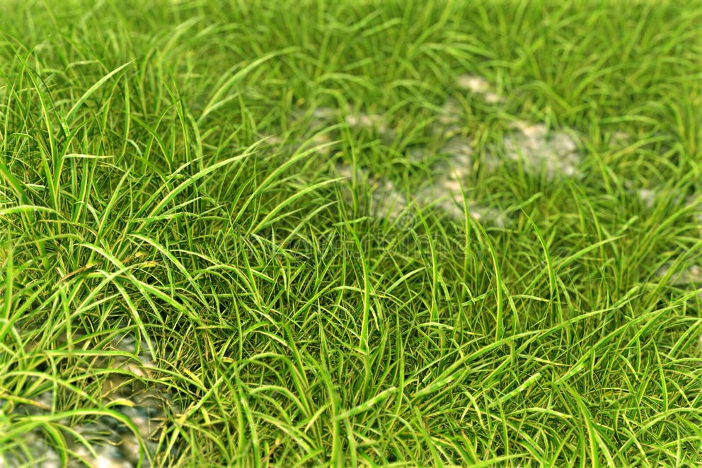 Realistic Lawn with Green Grass Render 3d Stock Illustration ...