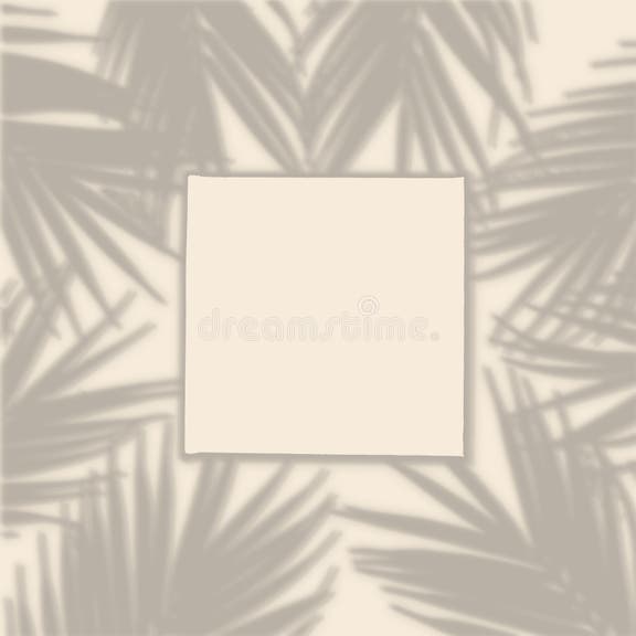 Realistic Leaf and Window Shadows for Modern Design Projects Stock ...