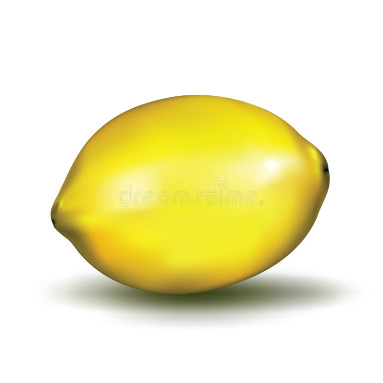 Realistic Lemon / Isolated Vector Illustration Stock Vector ...