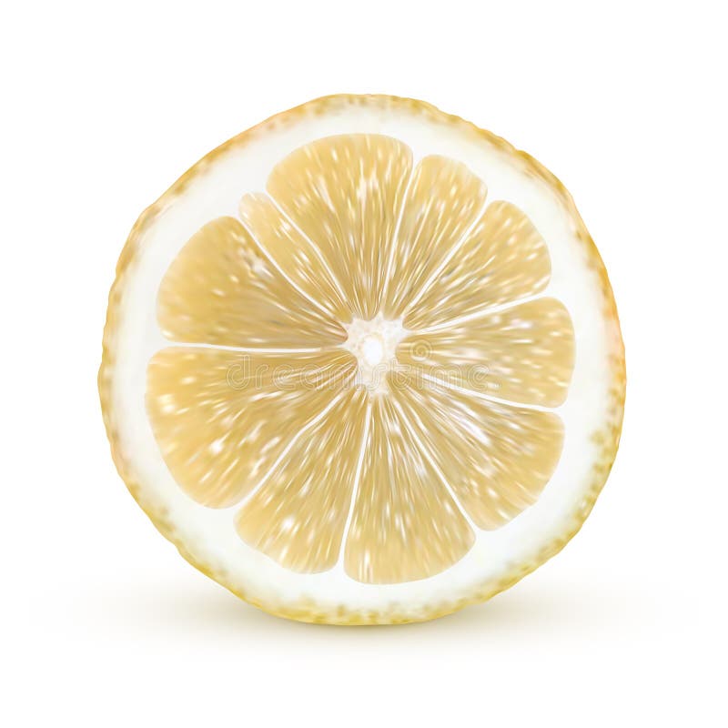 Realistic Lemon Stock Illustrations – 5,937 Realistic Lemon Stock ...