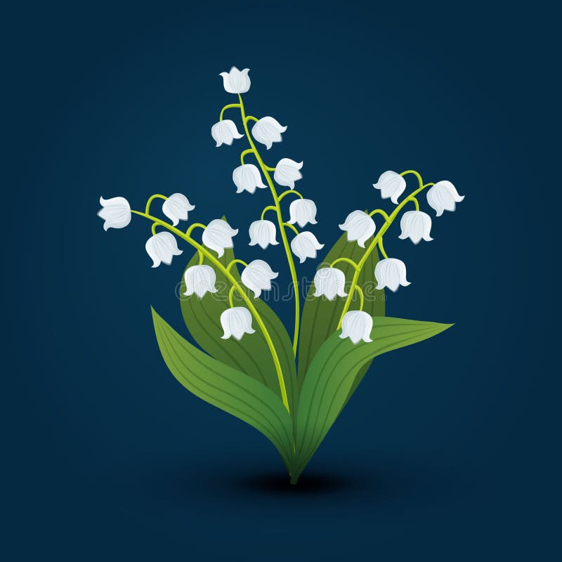Realistic Lily of the Valley on an Blue Background. Illustration of ...
