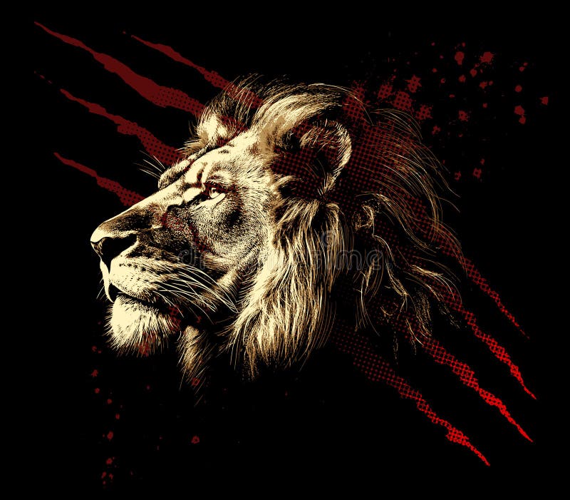 Realistic Lion Head Drawing with Dramatic Shading Stock Illustration ...